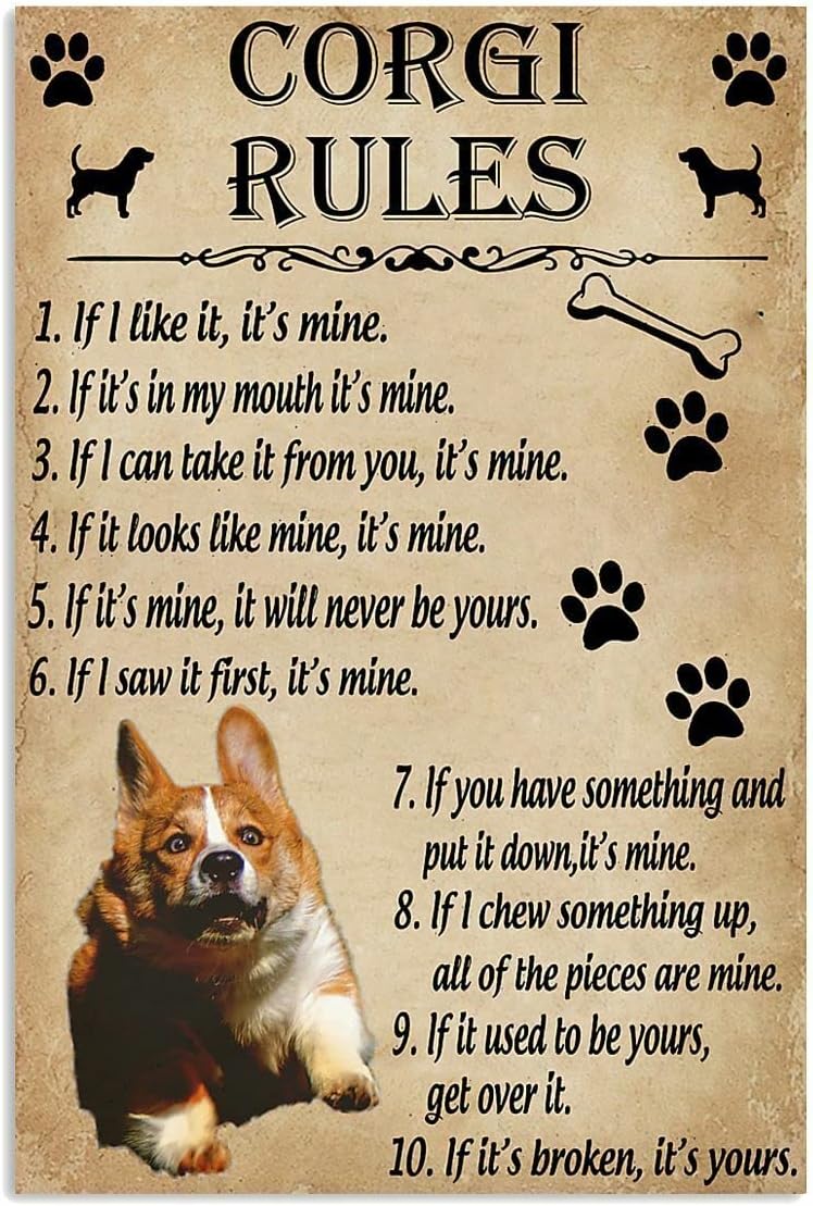 Metal Sign Corgi Rules Sign Vintage Funny Sign Retro Aluminum Tin Signs ...