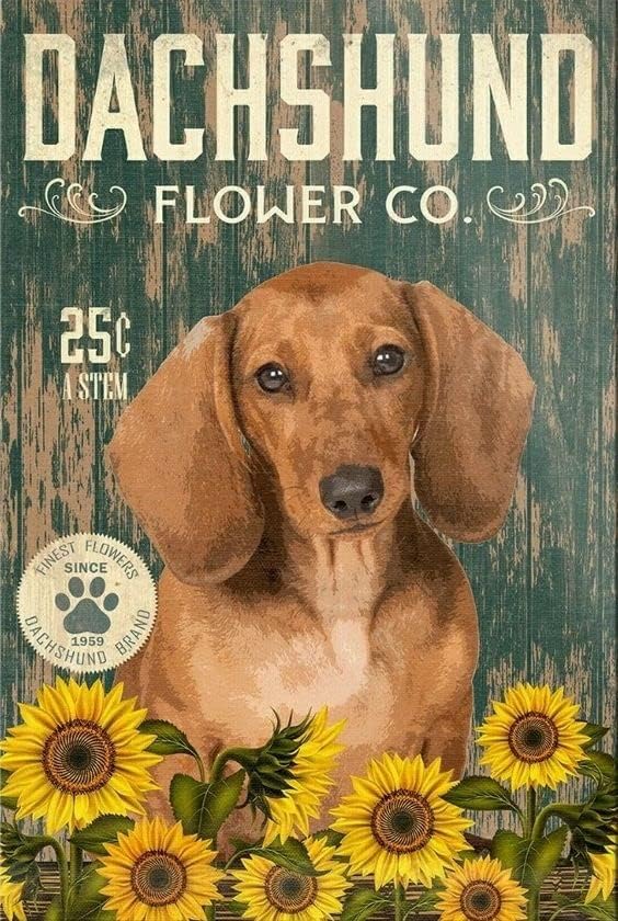 Metal Sign DACHSHUND FLOWER CO. Vintage Kitchen Signs Wall Decor ...