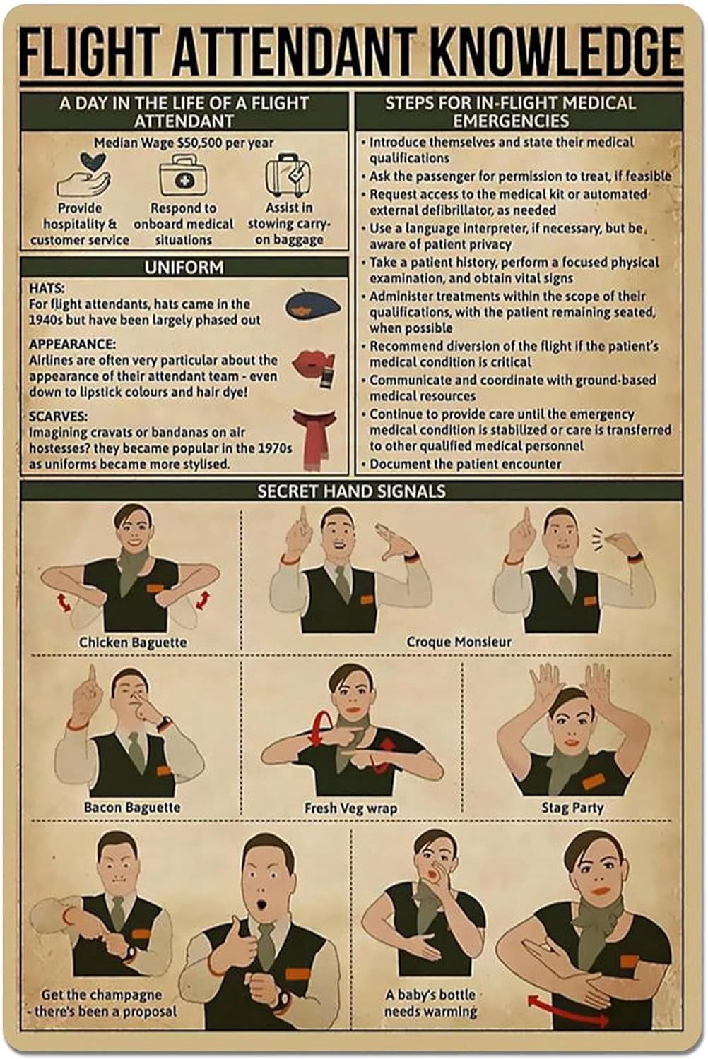 Metal Sign Flight Attendant Knowledge Tin Poster Pilot Secret Hand ...
