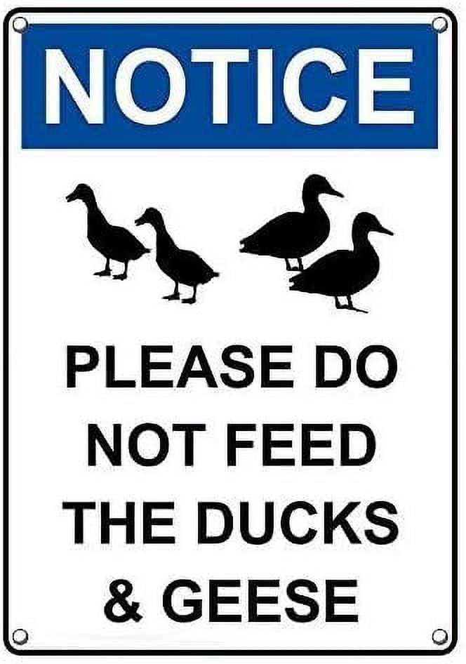 Metal Sign Great Aluminum Tin Sign Notice Please Do Not Feed The Ducks ...