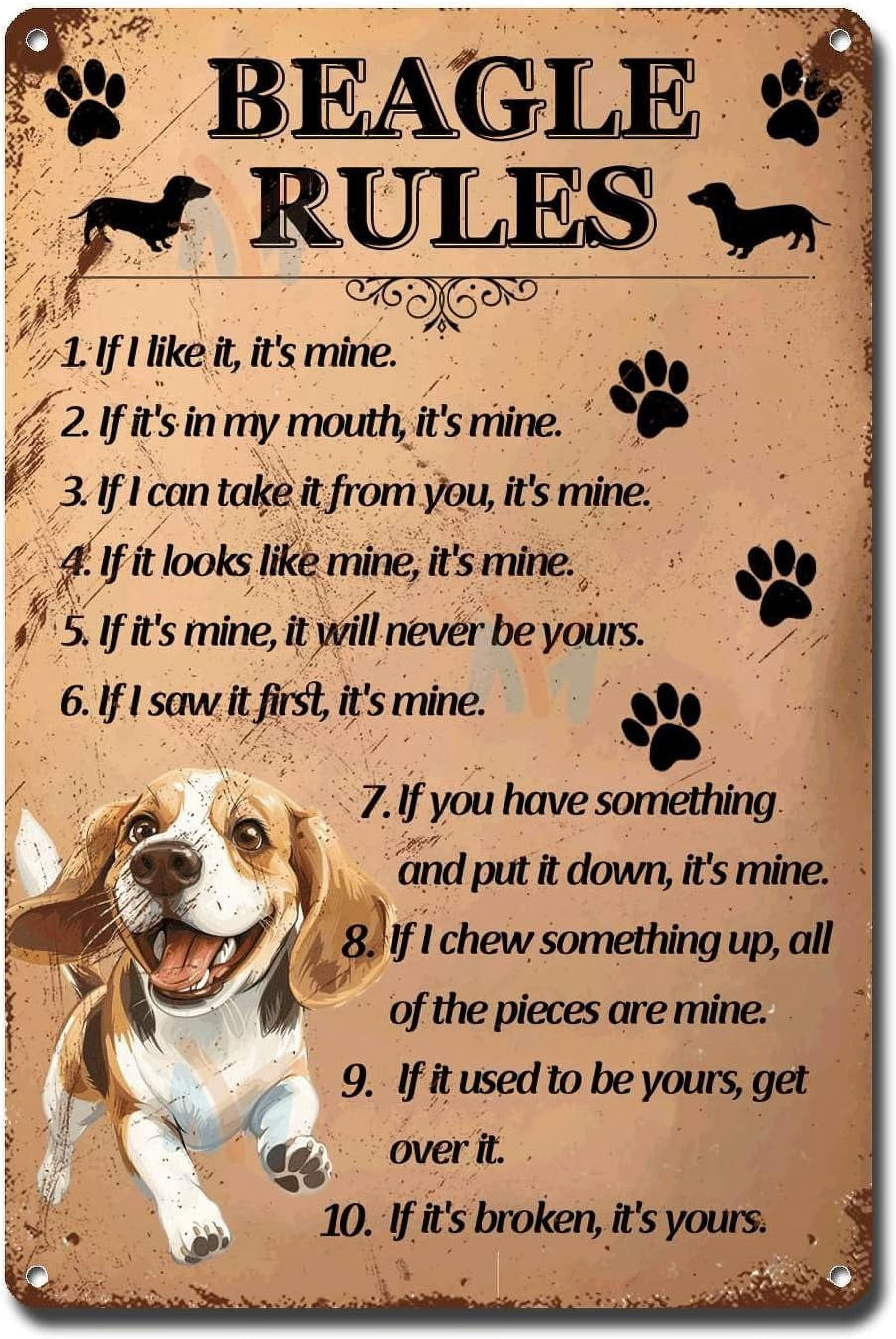 Metal Sign Tin Sign Vintage Wall Art Beagle Rules Tin Sig for Bar Metal ...