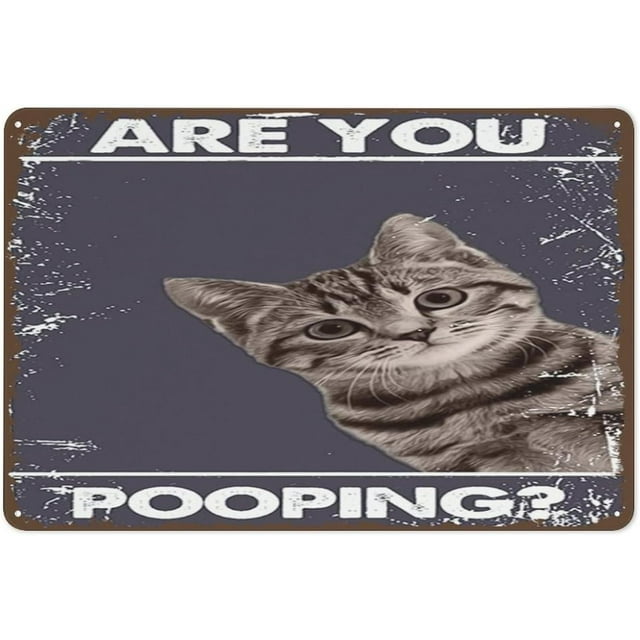 Metal Sign Vintage Funny Cats are You Pooping Signs,Bathroom Sign,Funny ...
