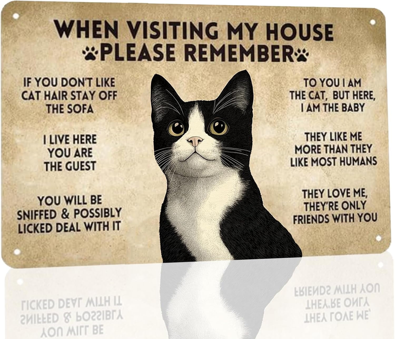 Metal Sign When Visiting My House Please Remember Cat Vintage Signs ...