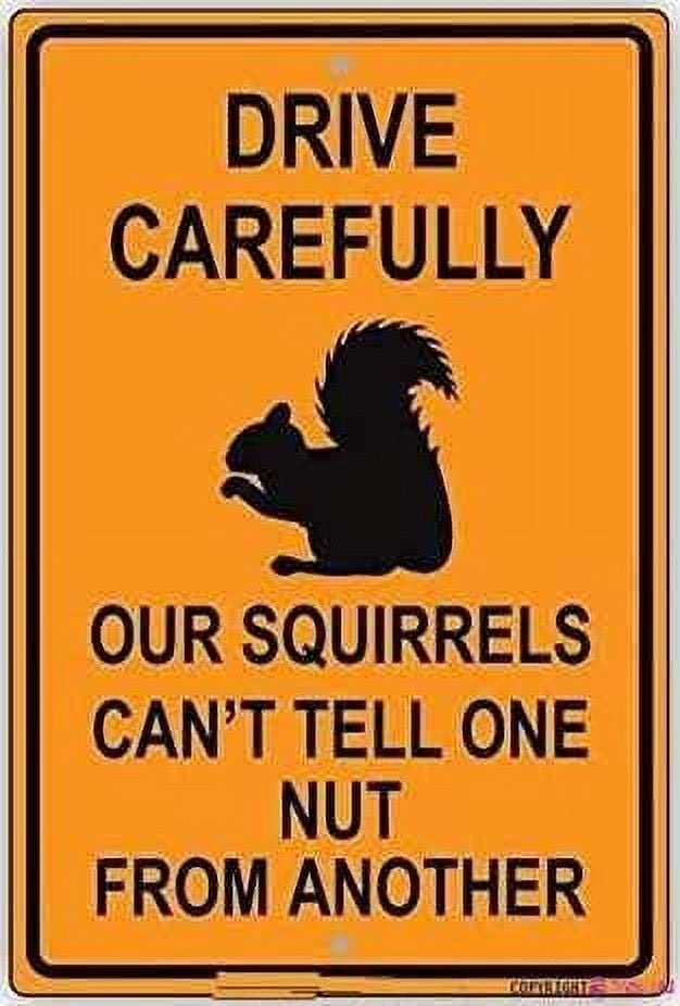 Metal Signs Drive Carefully Our Squirrels Can't Tell One Nut From ...