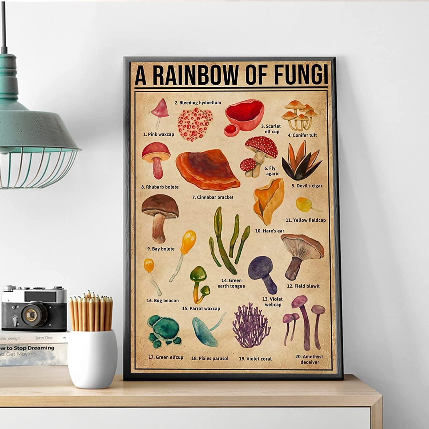 Metal Signs Funny A Rainbow Of Fungi Mushroom Botanical Metal Tin Sign ...