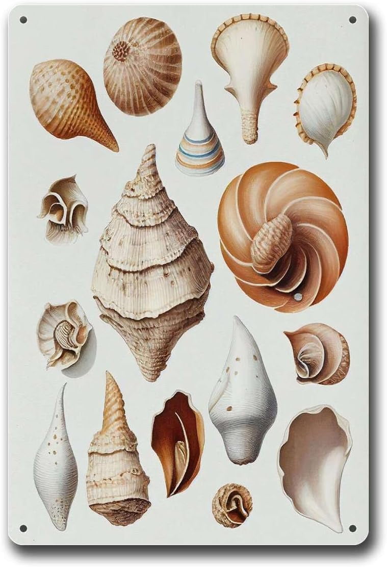 Metal Signs Vintage Coast Wall Wall Art Coast Decor Beach House Decor ...