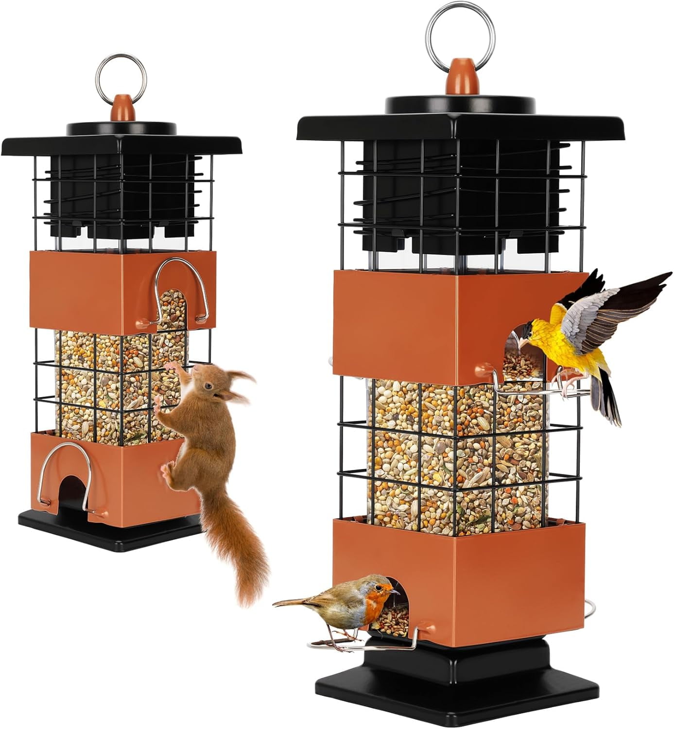 Metal Squirrel Proof Bird Feeder for Outdoors, Hanging Wild Bird Feeder ...