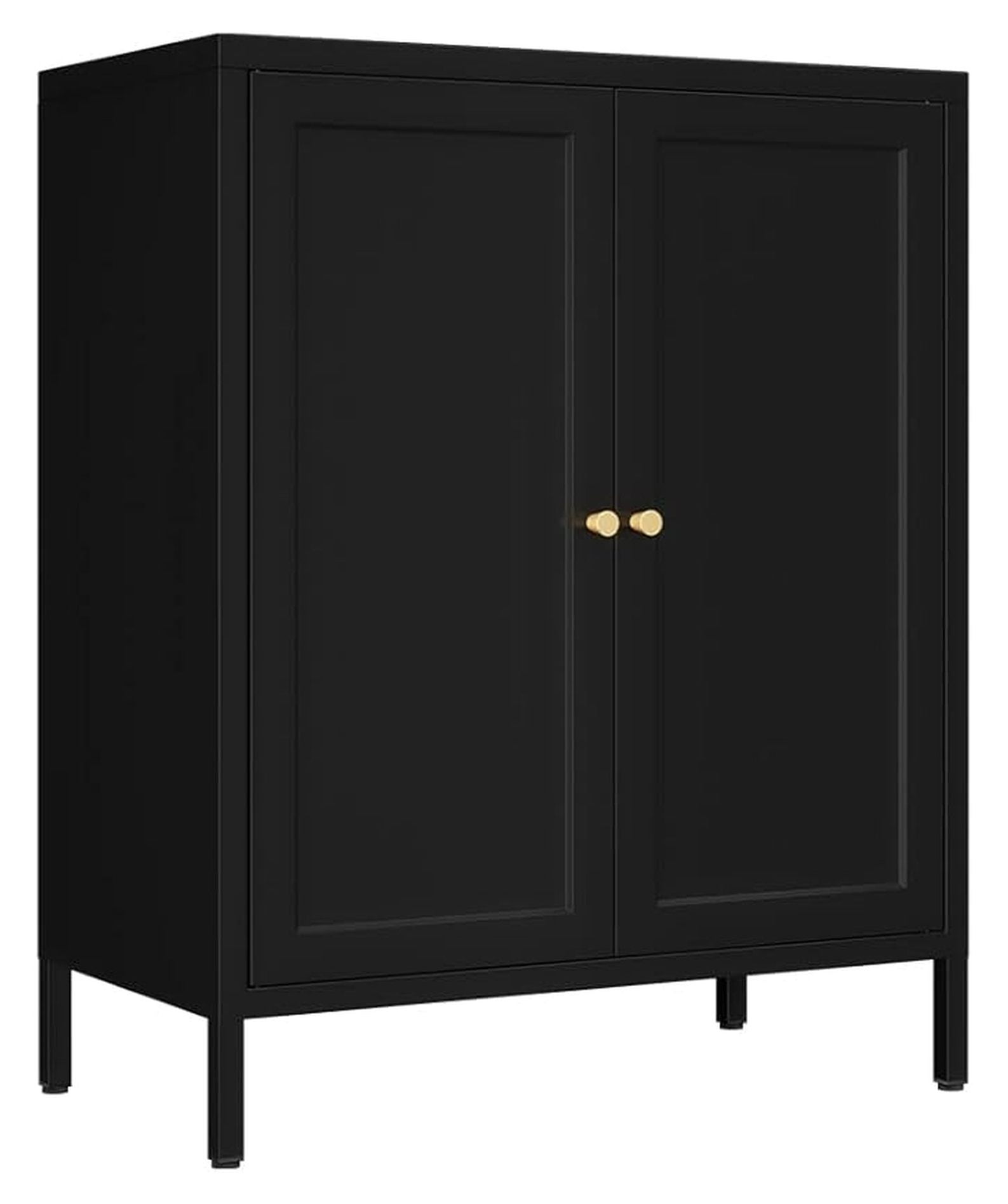 Metal Storage Cabinet - 2 Door Steel Locker Cabinet with Adjustable ...