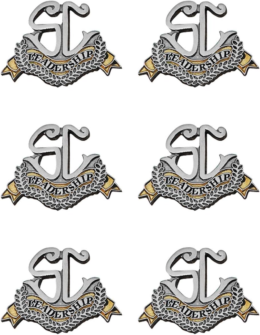 Metal Student Council Award Pins, Your Choice, 6 Count - Walmart.com