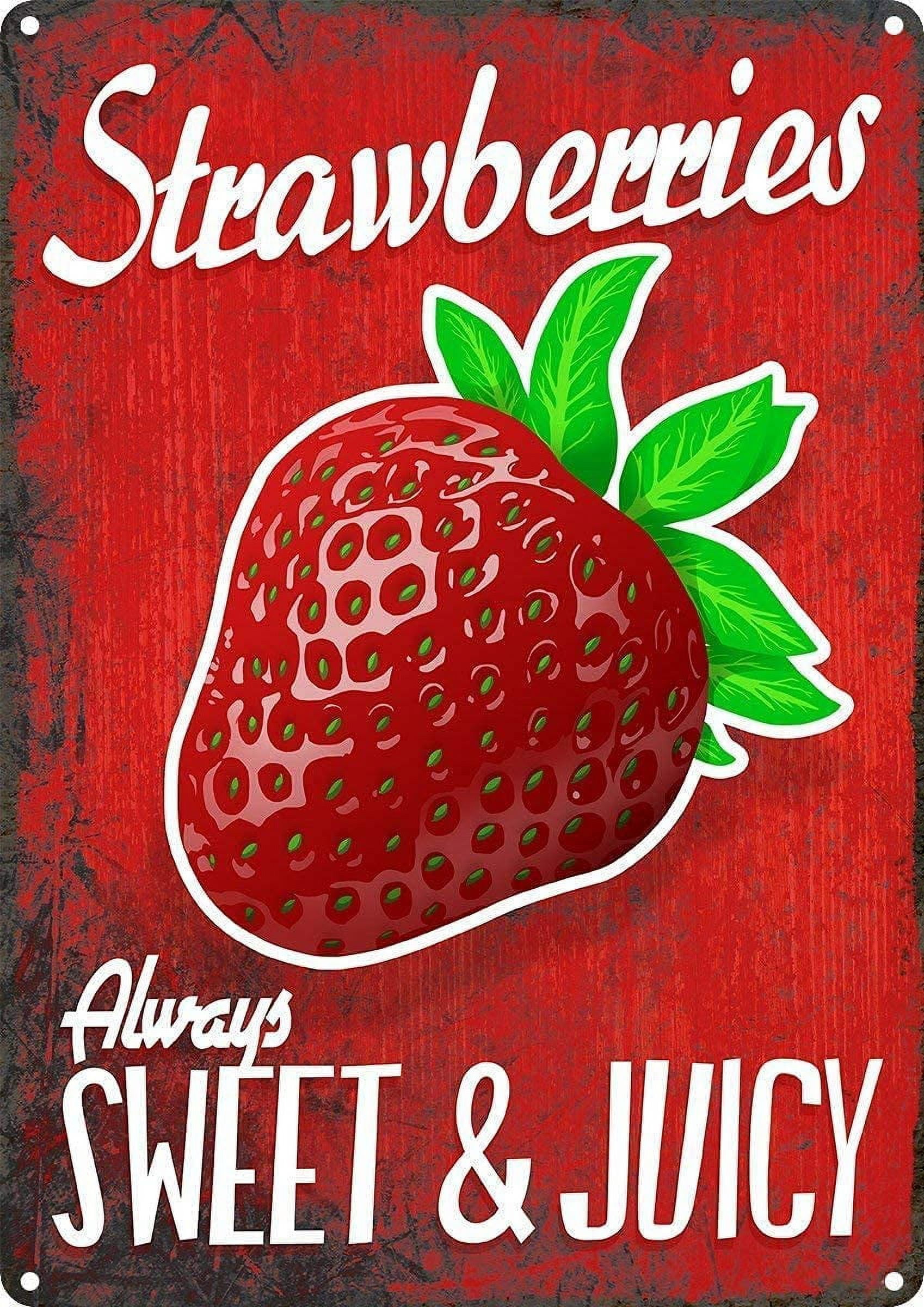Metal Tin Retro Sign Strawberry Berries Funny Fruits Vegetables Food ...