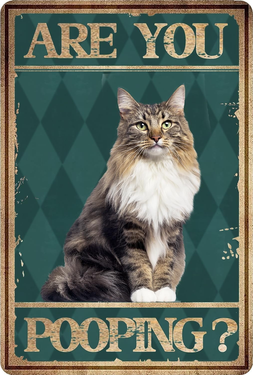 Metal Tin Sign 12x16 Inch Bathroom Cat Wall Decor Funny Metal Sign Are ...