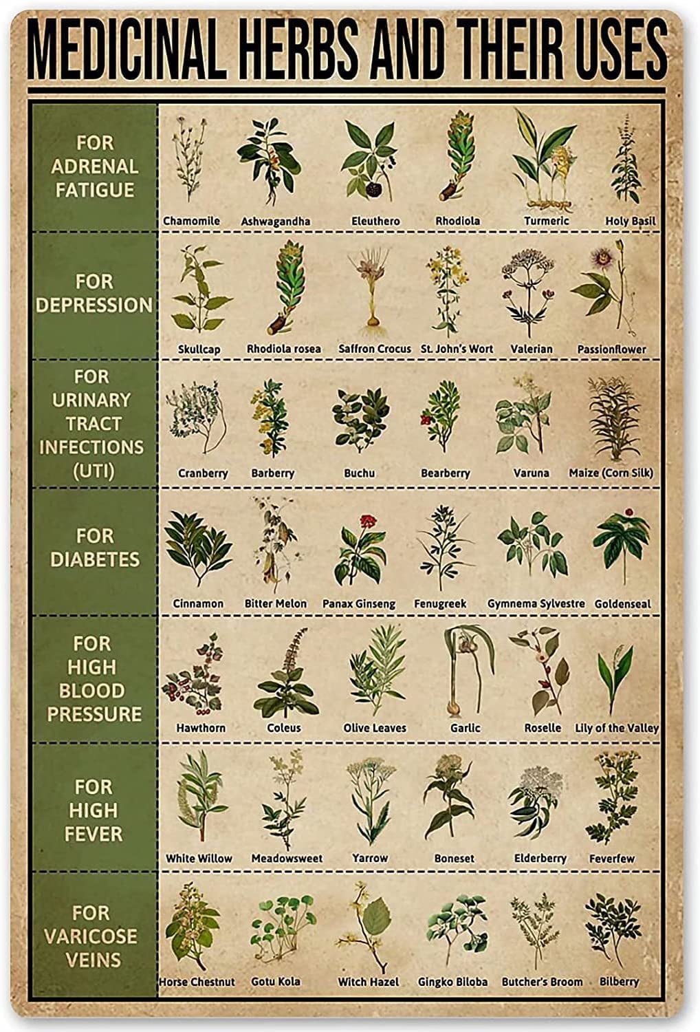 Metal Tin Sign 12x16 Inch Medicinal Herbs And Their Uses Posters Metal ...