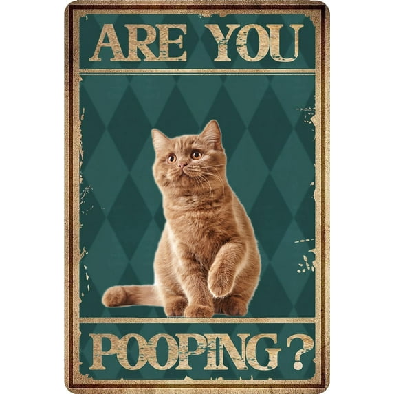 Metal Tin Sign 12x16 Inch Retro Tin Sign Vintage Cat Are You Pooping ...