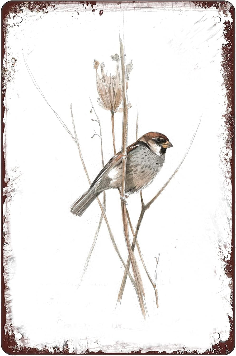 Metal Tin Sign 12x16 Inch Sparrow Bird On A Branch Tin Sign Poster Bird ...