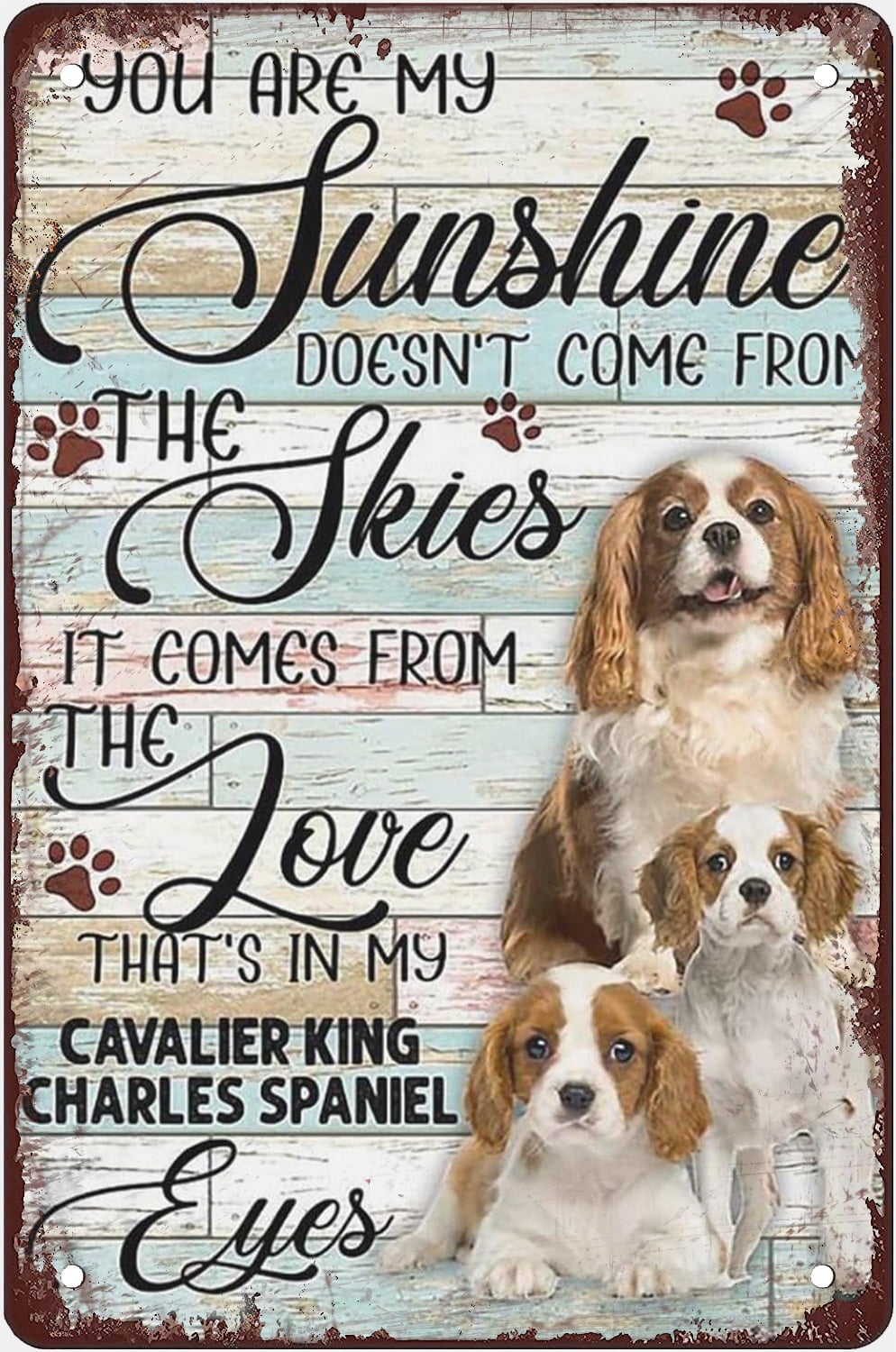 Metal Tin Sign 12x16 Inch Vintage Metal Tin Sign Cavalier King Charles ...