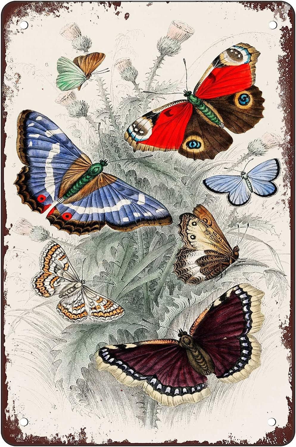 Metal Tin Sign 8x12 Inch Butterfly Thistle Tin Sign Cave Bar Home Wall ...