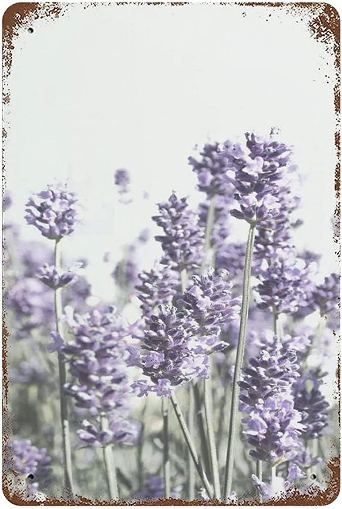 Metal Tin Sign 8x12 Inch Rustic Sunflower Butterfly Birds Vintage Tin ...