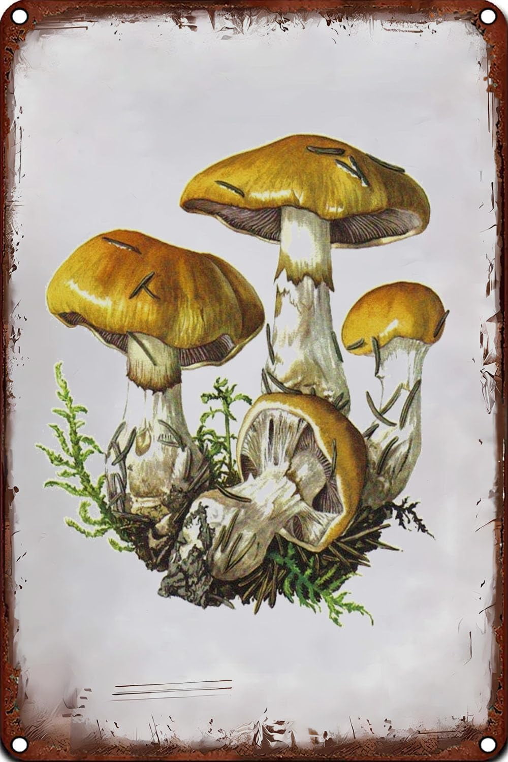 Metal Tin Sign 8x12 Inch Vintage Mushroom Metal Tin Signs Wall Decor ...
