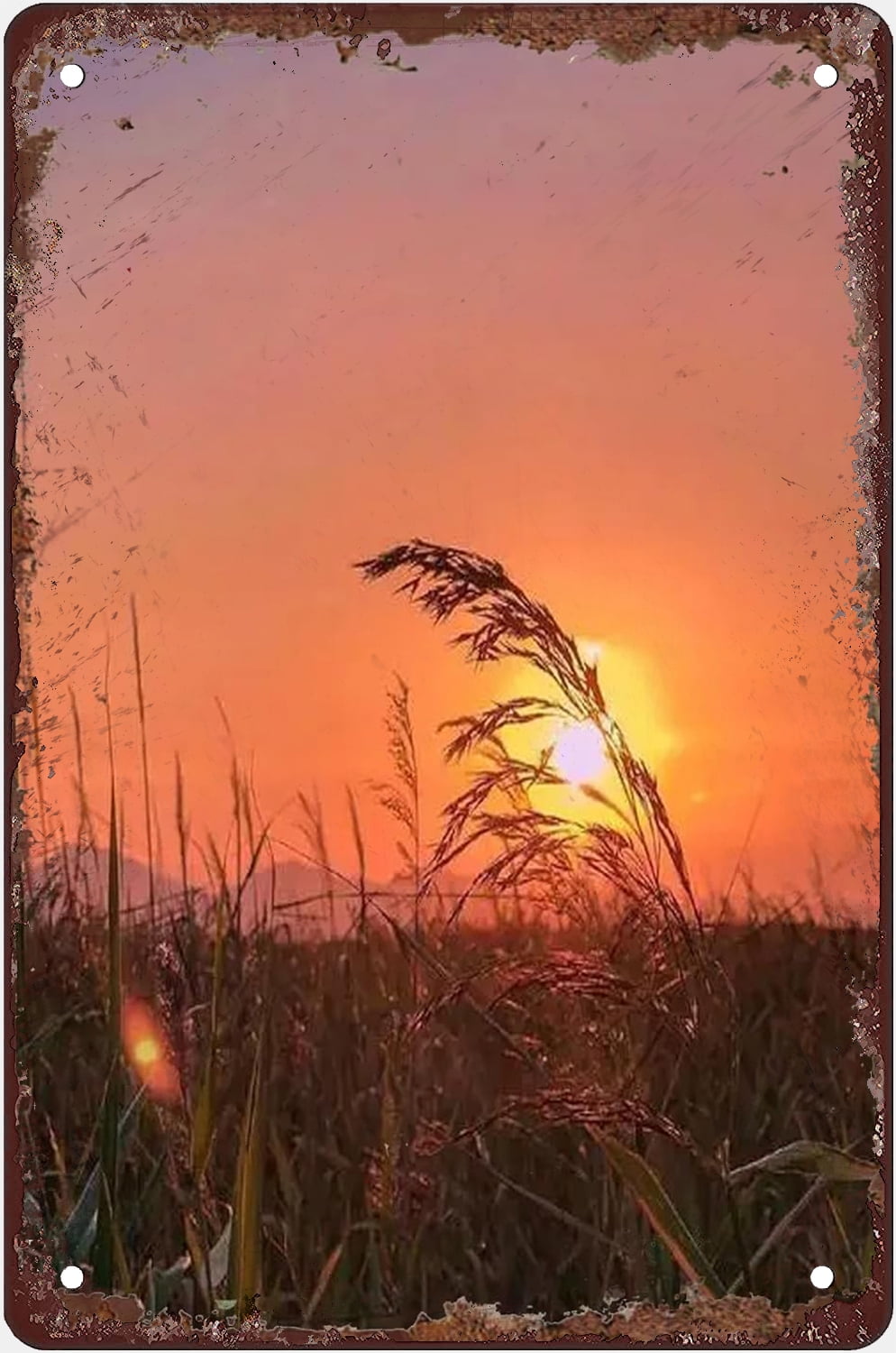 Metal Tin Sign 8x12 Inch Vintage Metal Sign Sunset And Reed Vintage ...