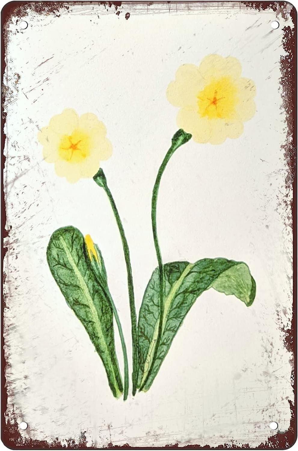Metal Tin Sign 8x12 Inch Wildflower Primrose Retro Metal Aluminium Tin ...