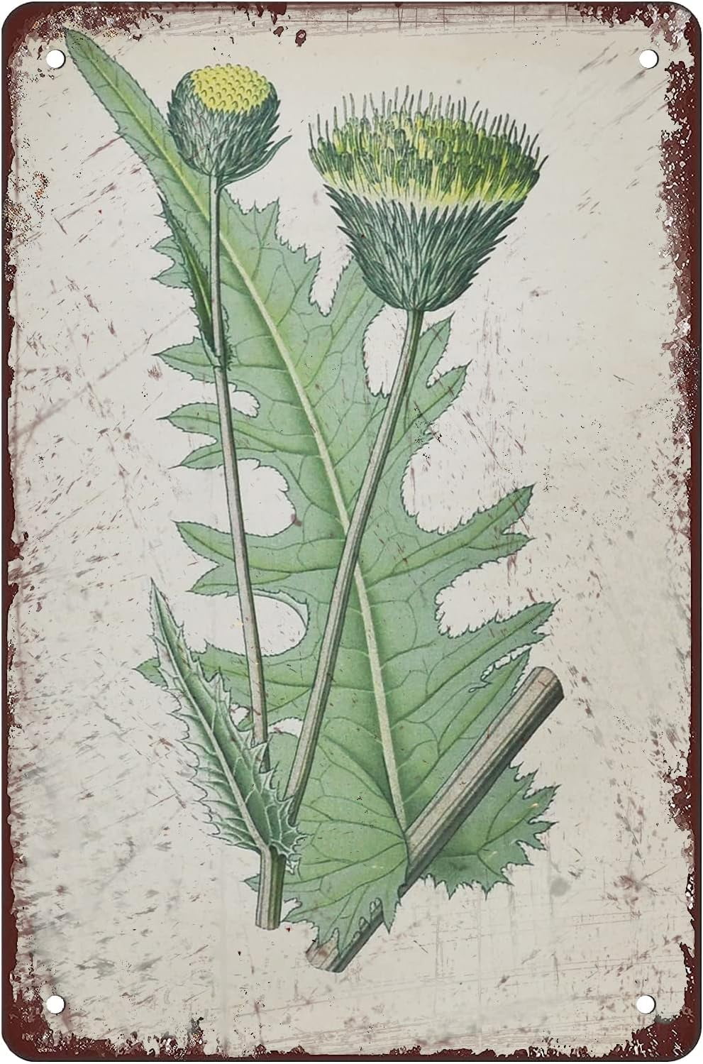 Metal Tin Sign 8x12 Inch Yellow Thistle Print Tin Signs Retro Kitchen ...