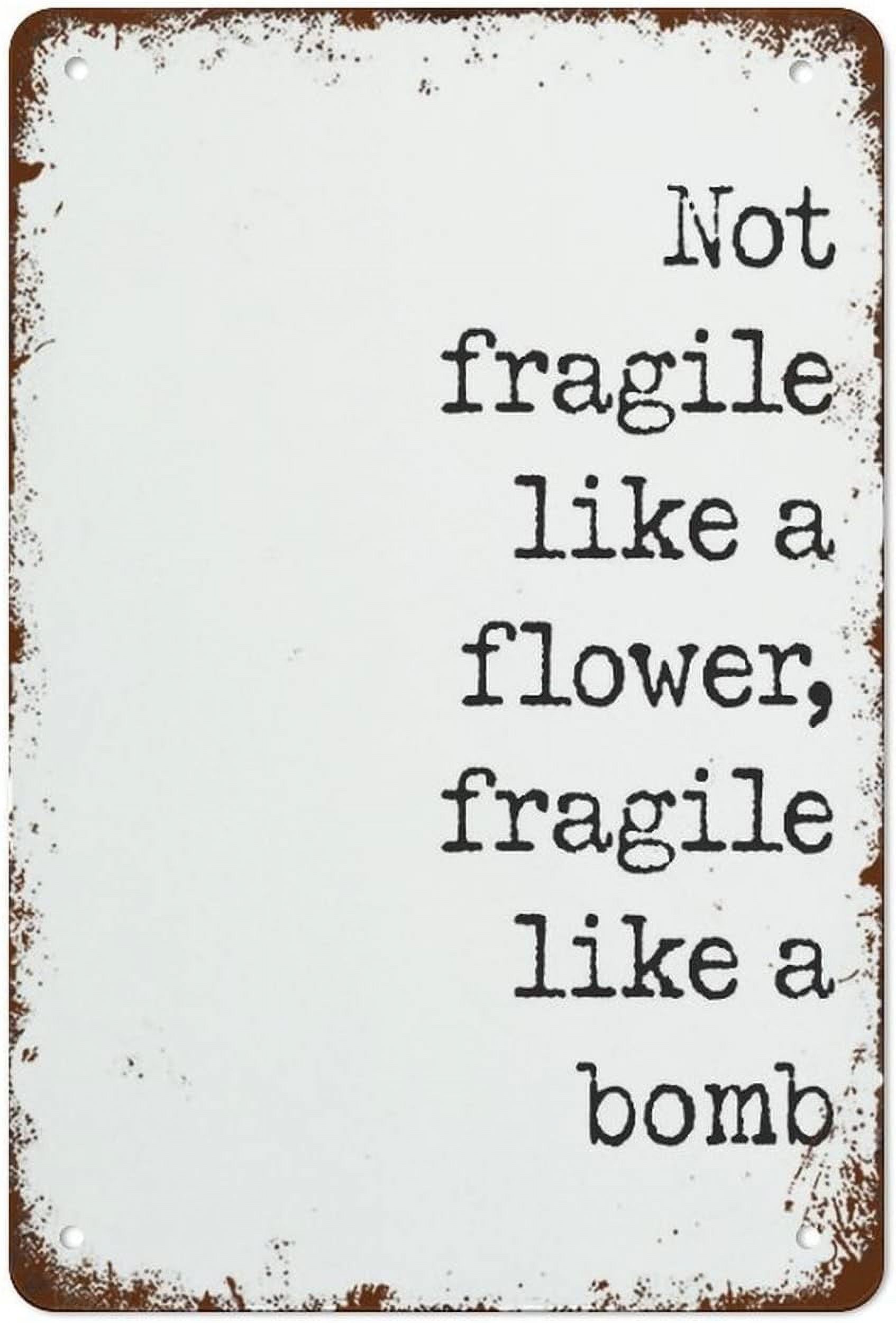 Metal Tin Sign 8x5.5 Inch Funny Wall Sign Decor Quotes Not Fragile Like ...