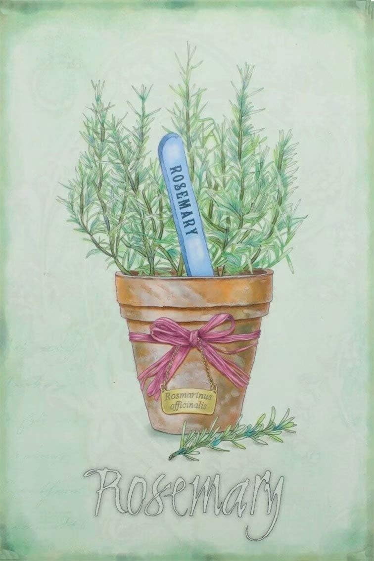 Metal Tin Sign 8x5.5 Inch Plate Rosemary Funny Novelty Funny Novelty ...