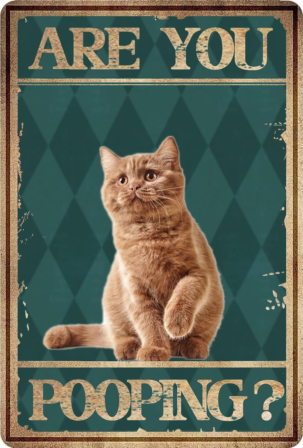 Metal Tin Sign 8x5.5 Inch Retro Tin Sign Vintage Cat Are You Pooping ...
