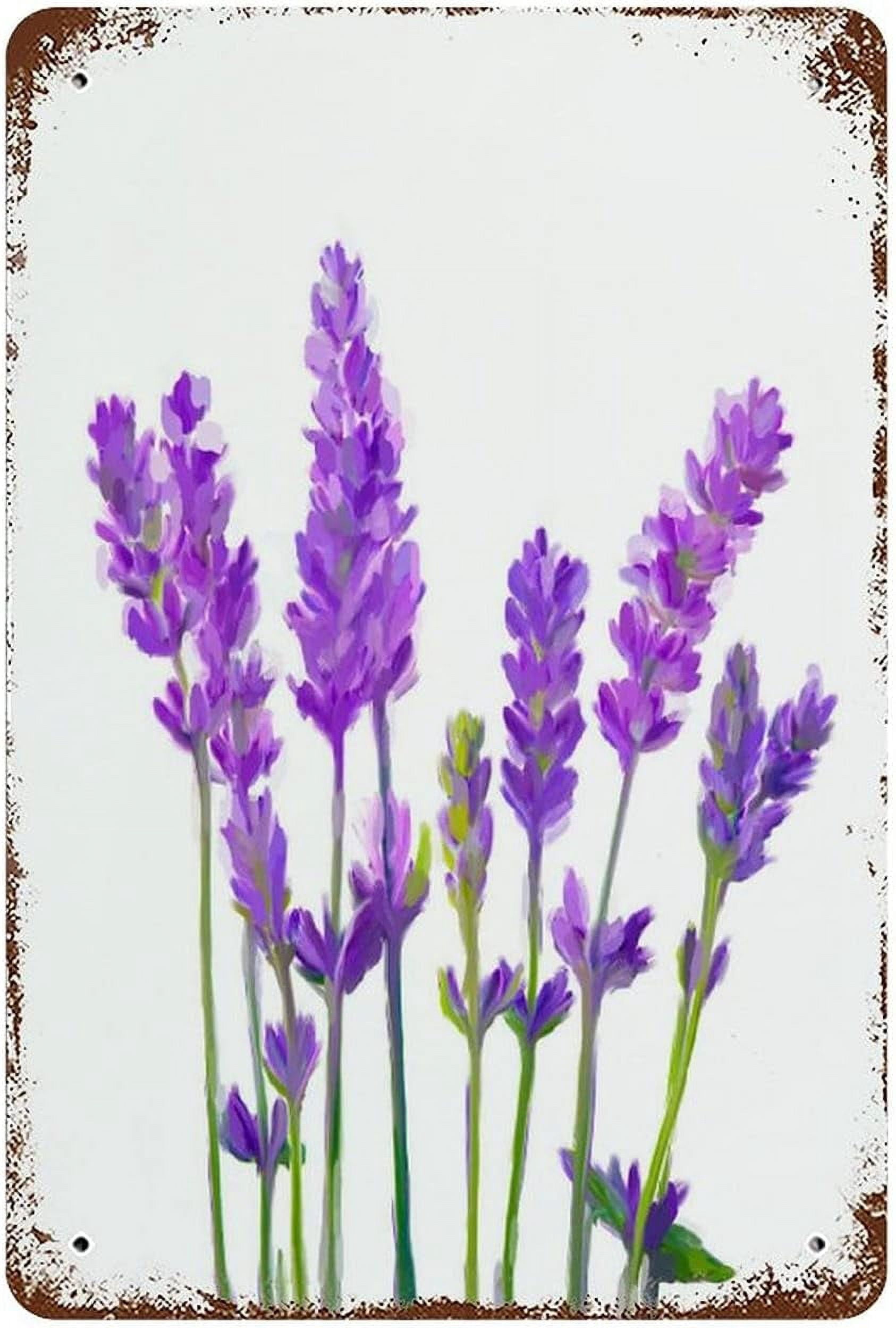 Metal Tin Sign 8x5.5 Inch Tin Signs Lavender Art Purple Flower Decor ...