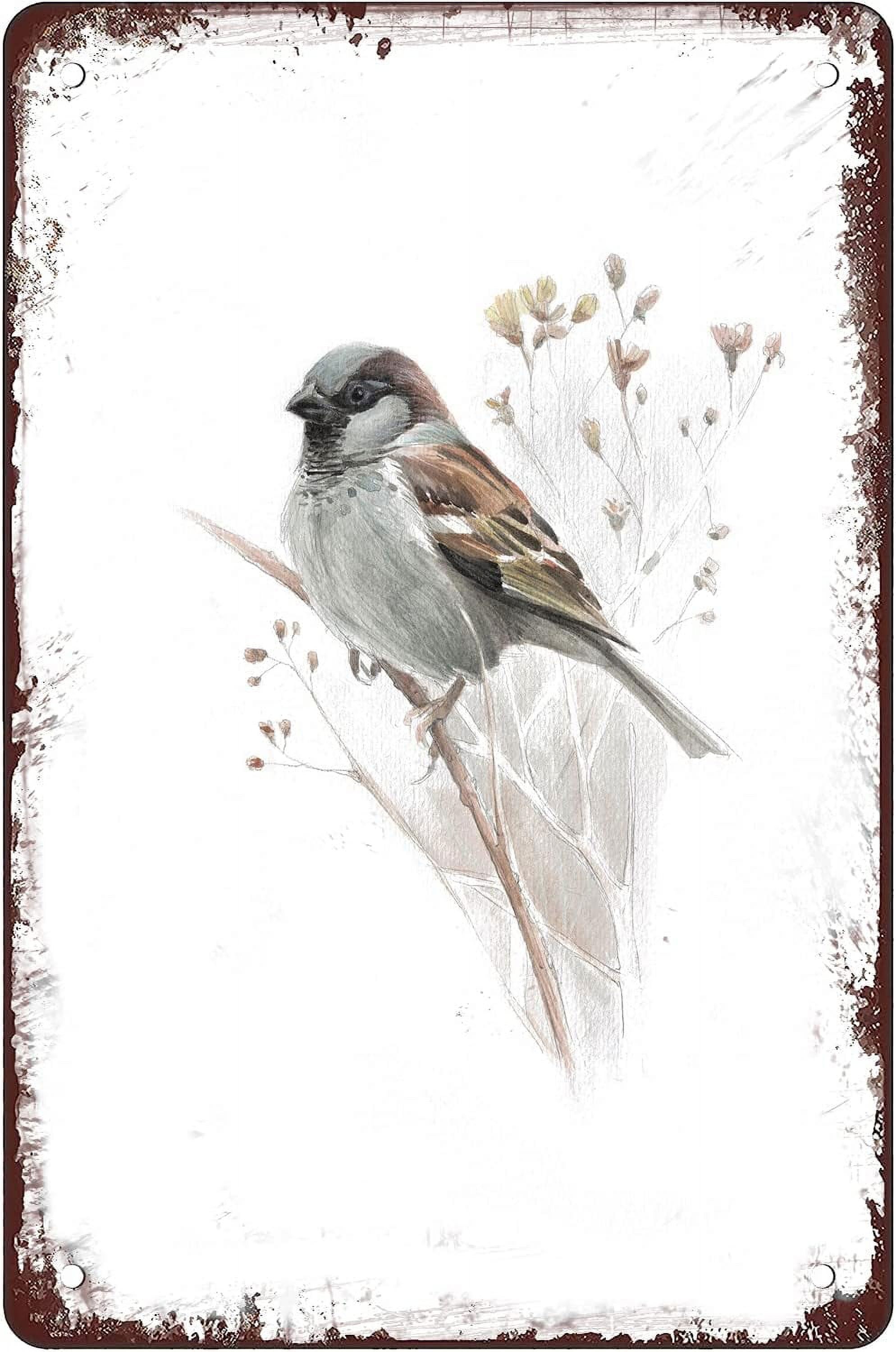 Metal Tin Sign 8x5.5 Inch Sparrows On The Branch Tin Sign Poster Bird ...