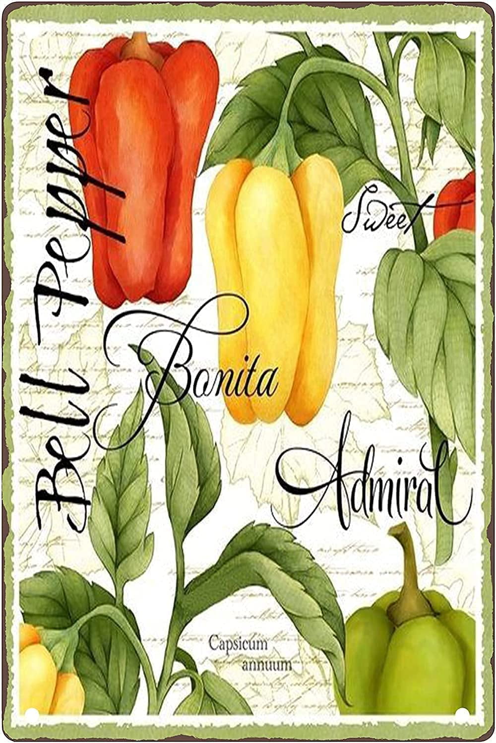 Metal Tin Sign 8x5.5 Inch Vintage Capsicum Annuum Tin Signs Vintage ...
