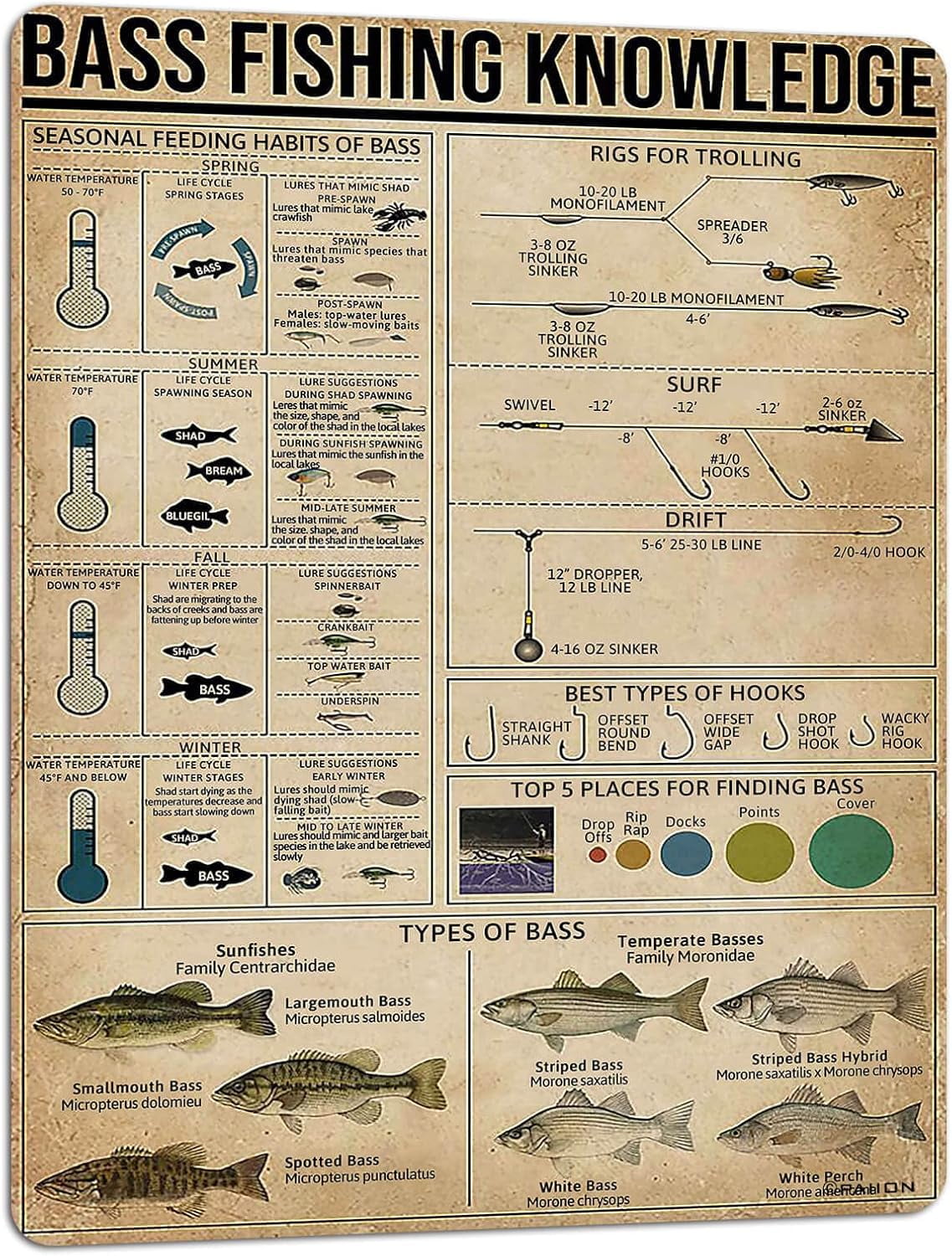 Metal Tin Sign Bass Fishing Knowledge poster Bar Home Decoration New ...