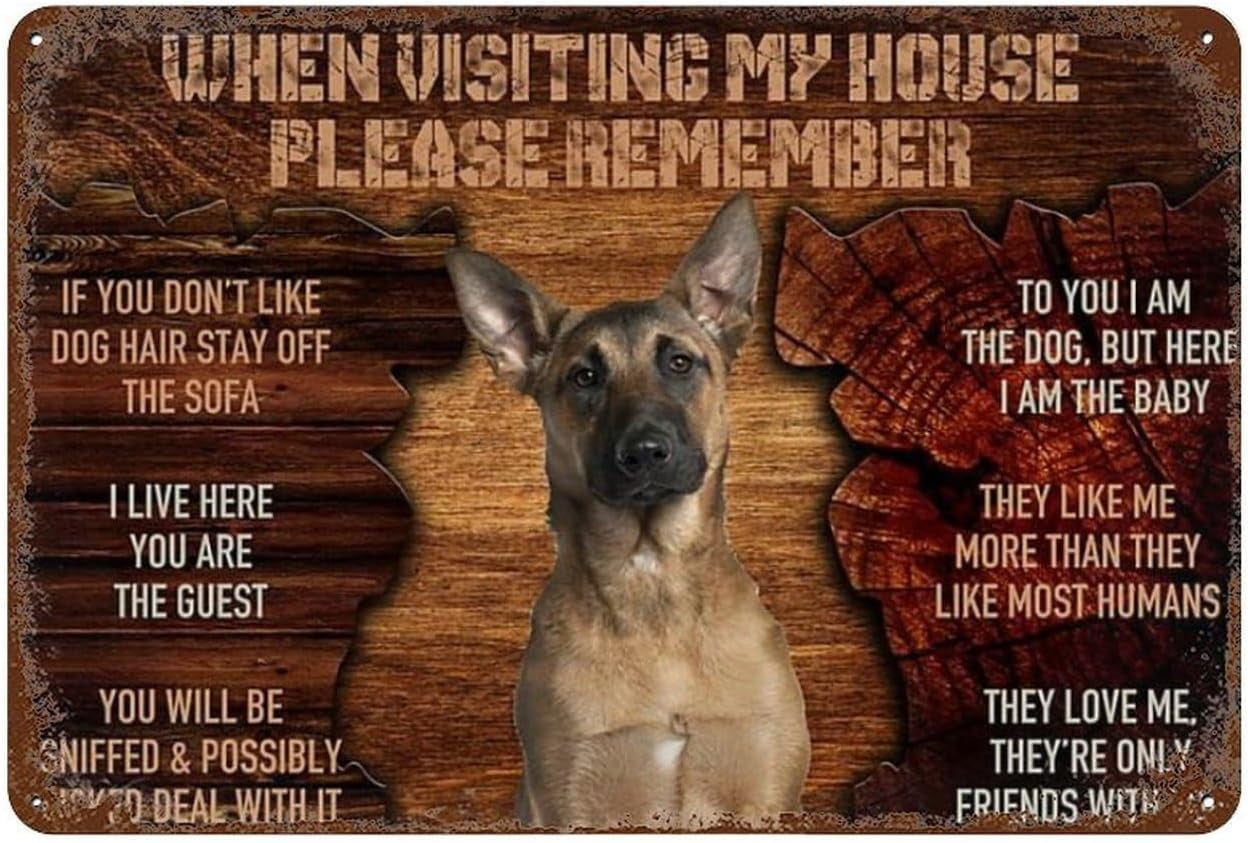 Metal Tin Sign Belgian Malinois Visiting My House Aluminum Tin Signs ...