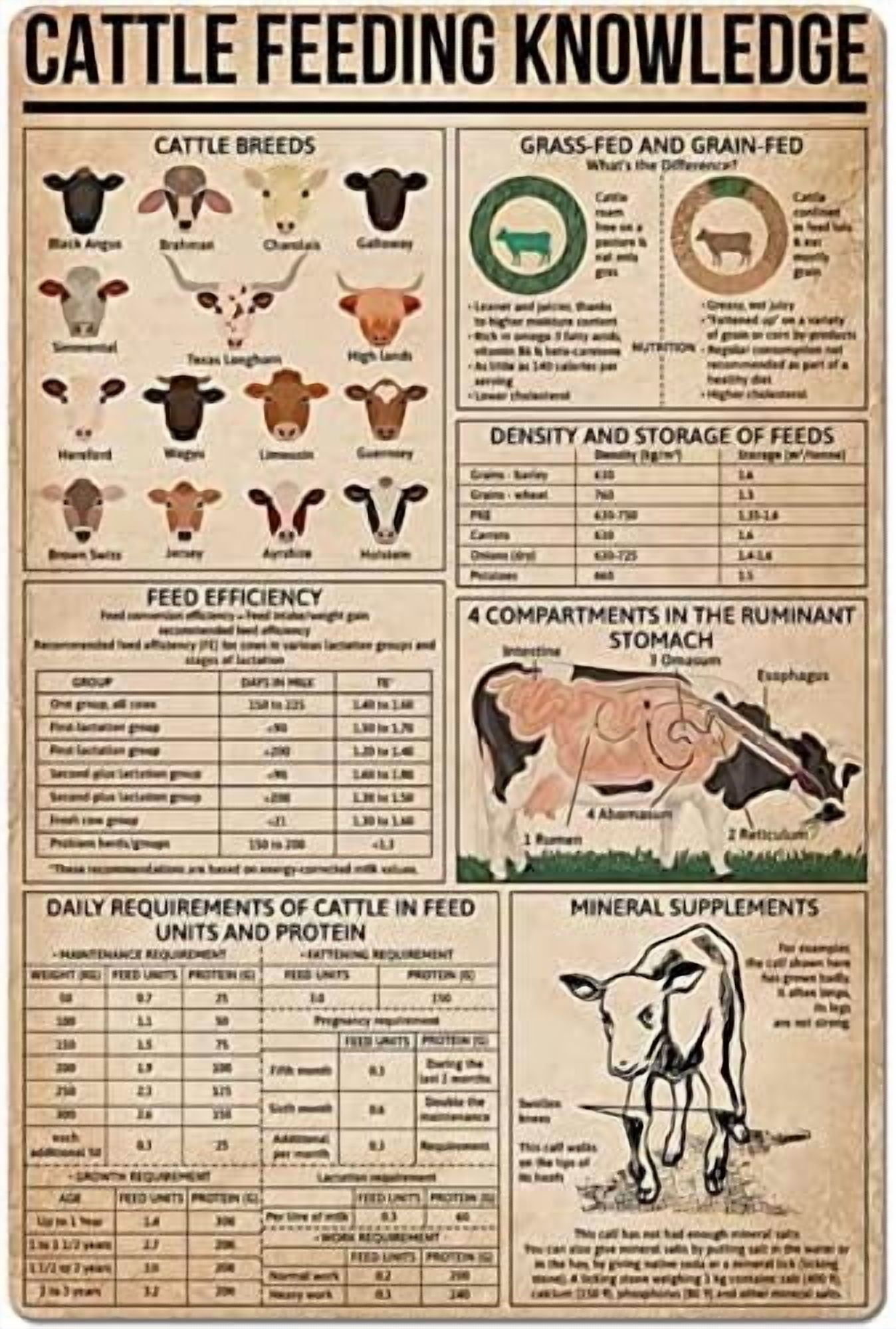 Metal Tin Sign Cattle Feeding Knowledge Illustrated Poster About Cattle ...