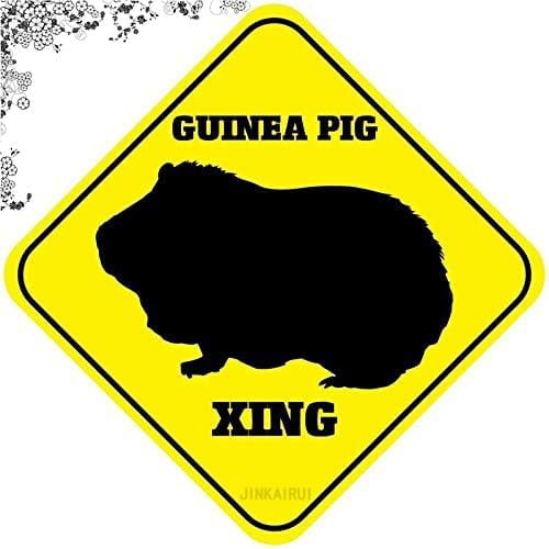Metal Tin Sign Guinea Pig Xing Sign For Home Office Bar Indoor Outdoor ...