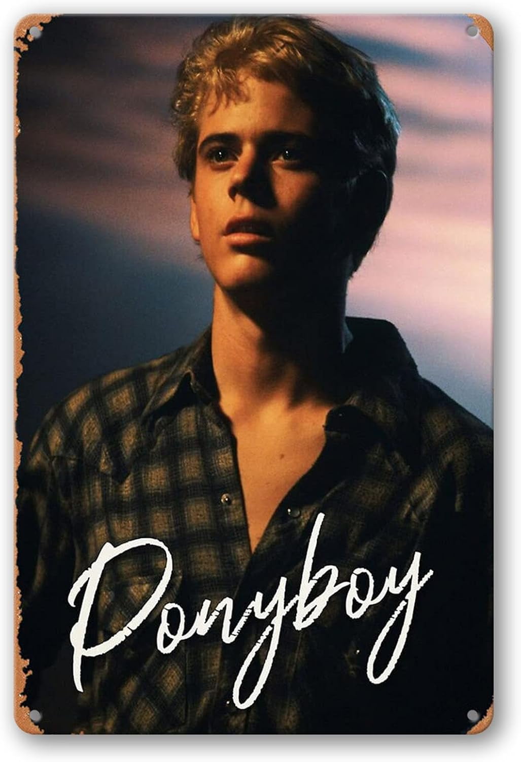 Metal Tin Sign - Ponyboy Curtis The Outsiders Metal Signs 8x12 Inch ...