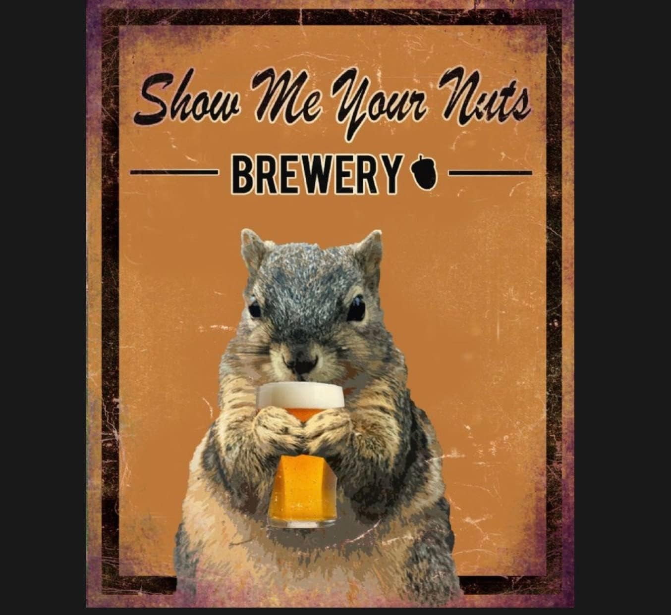 Metal Tin Sign - Retro Poster Wall Decor Sign 8x12 Inches Squirrell ...