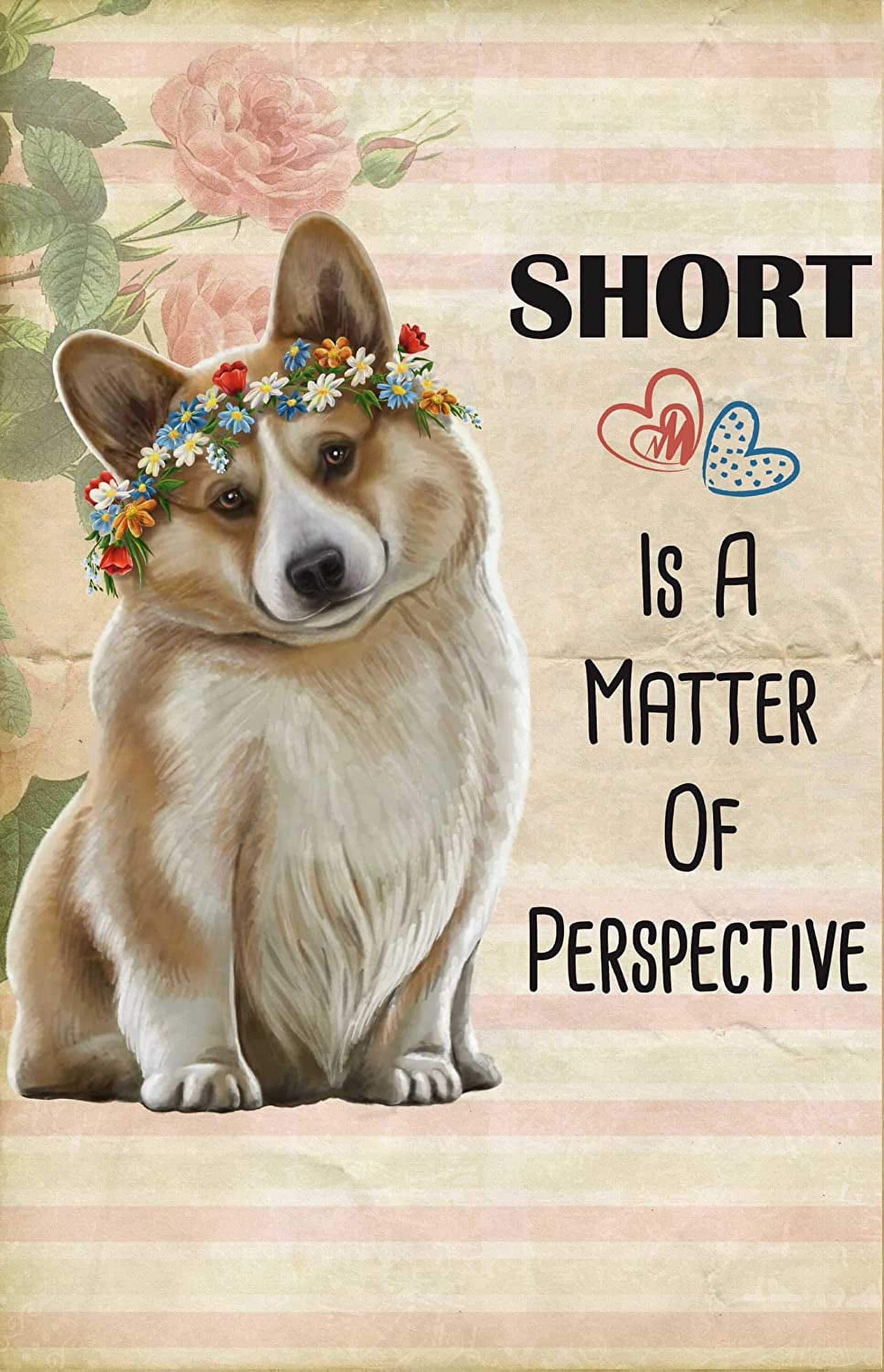 Metal Tin Sign Short is A Matter of Perspective Sign Vintage Tin Sign ...