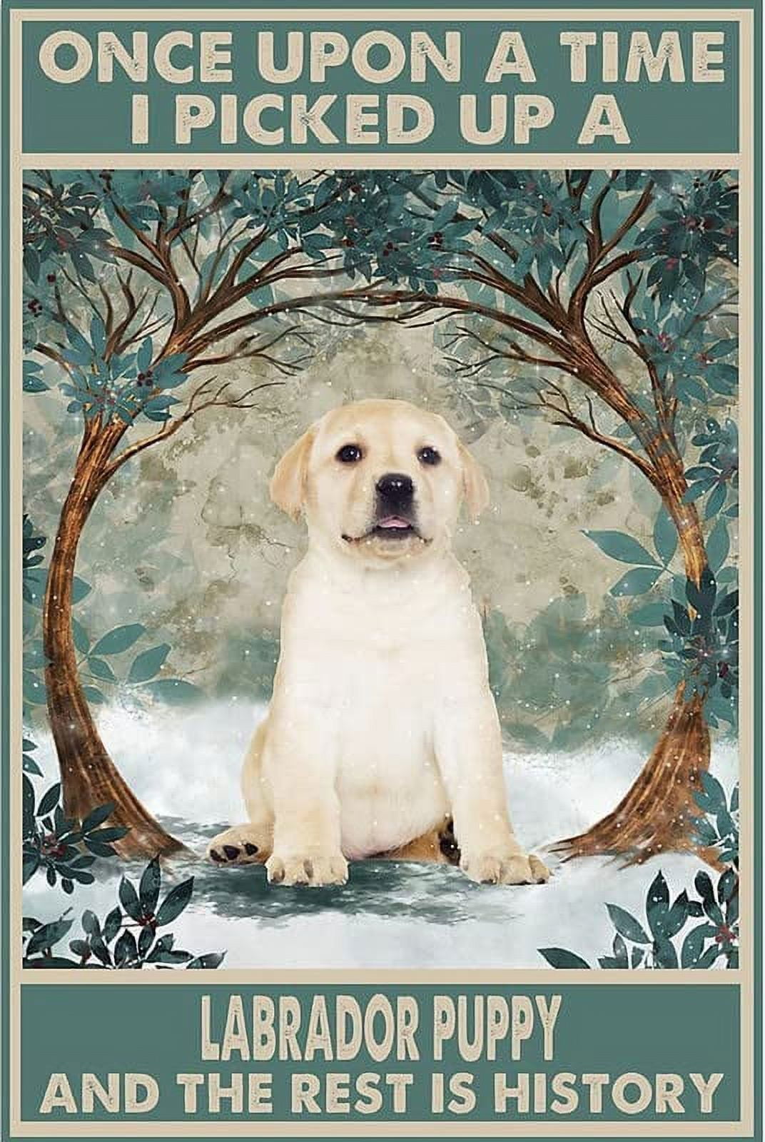 Metal Tin Sign - Tin Signs Funny Once Upon a Time I Picked up A ...