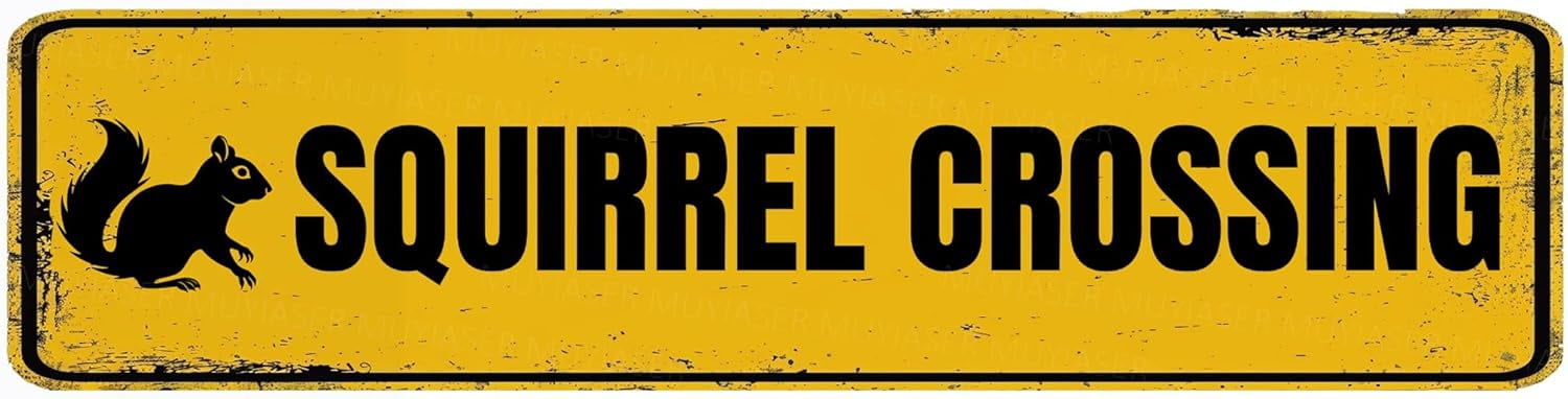 Metal Tin Sign Squirrel Crossing Vintage Signs Retro Tin Signs Aluminum ...