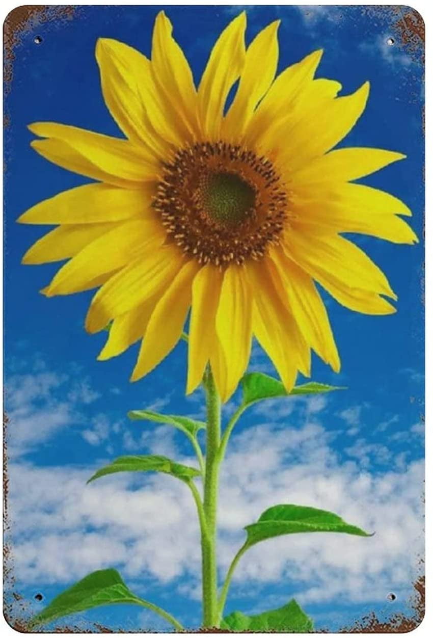 Metal Tin Sign Sunflower Vintage Tin Poster Metal Sign Wall Decoration ...