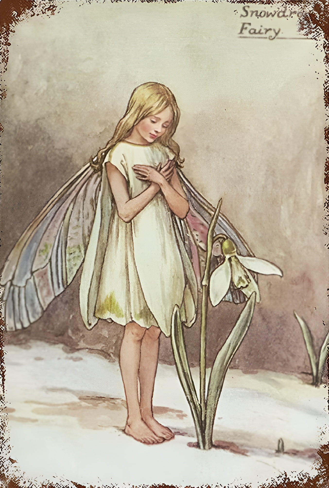 Metal Tin Sign The Snowdrop Fairy Flower Fairies Home Decor Wall Decor ...