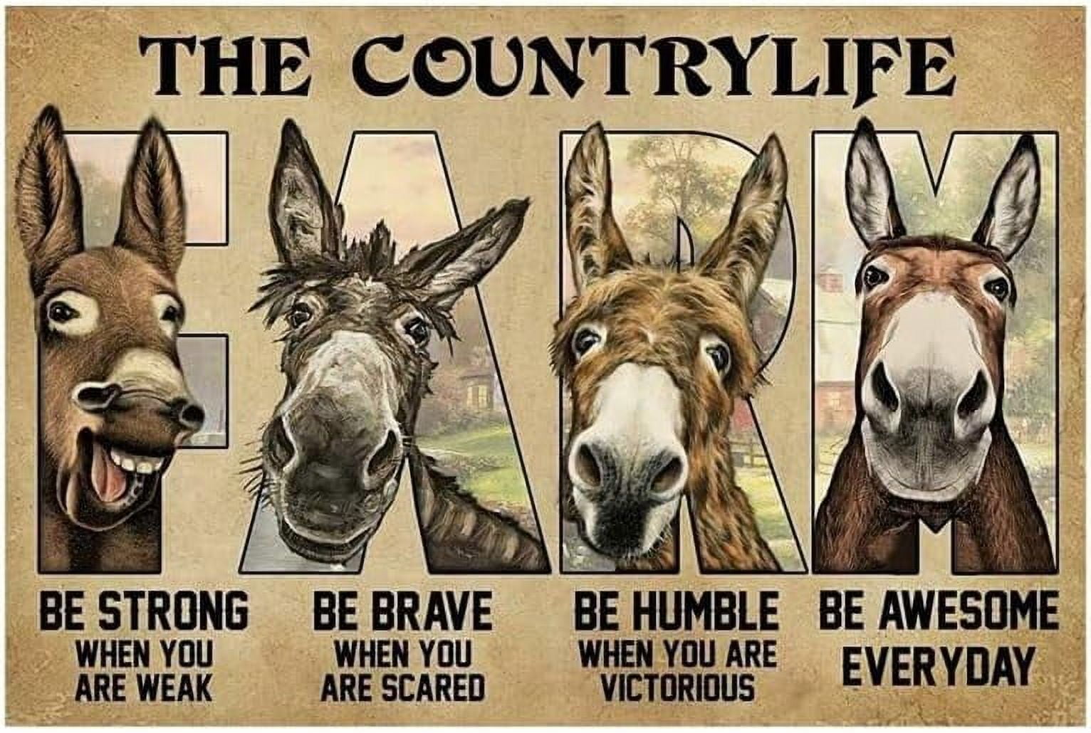 Metal Tin Sign Vintage Donkey Decor Life is Short, hilarious donkey ...