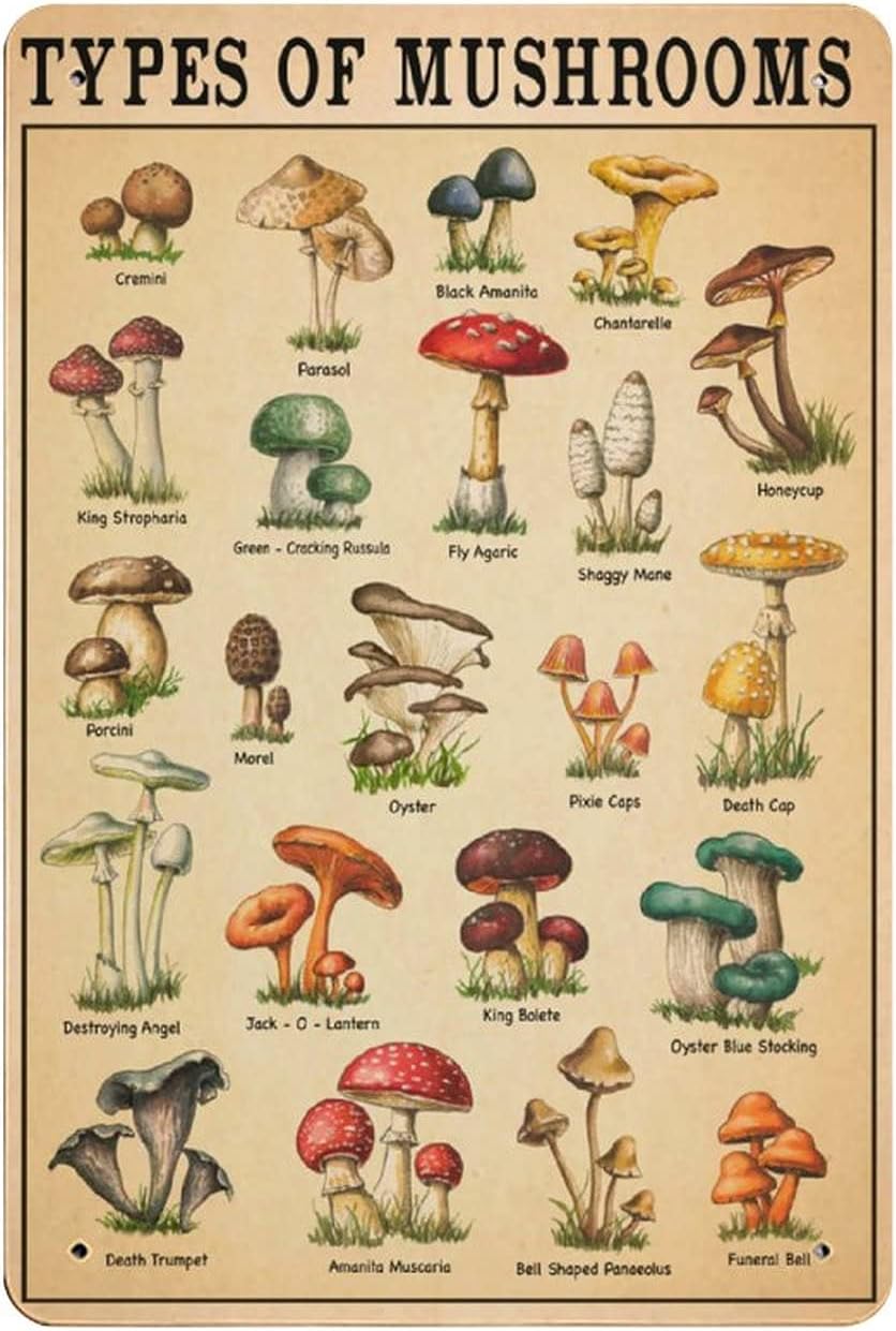 Metal Tin Sign Vintage Types of Mushrooms Sign Wall Decor Shed Garage ...