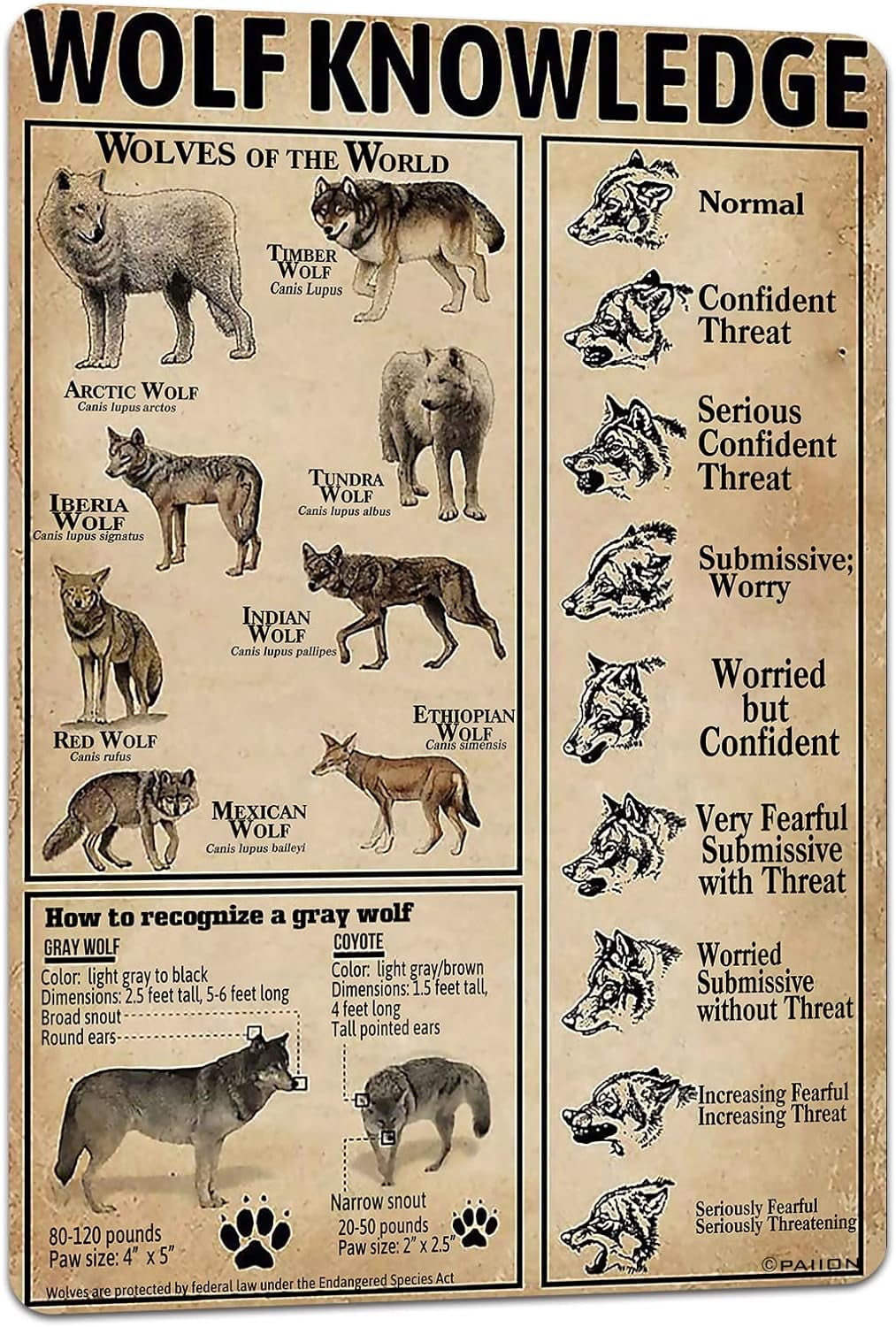 Metal Tin Sign Wolf Knowledge Retro Tin Poster for Infographic Wall ...