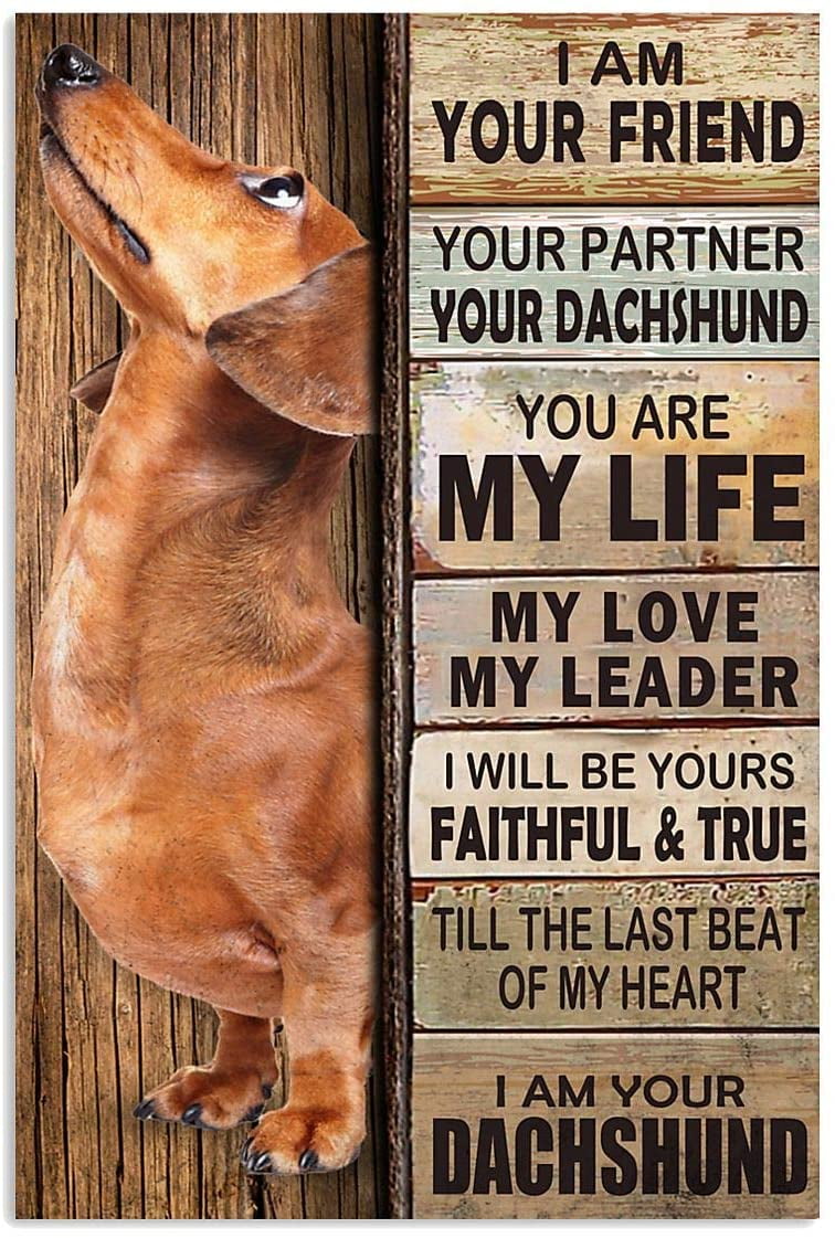Dachshund Bath SOAP Metal Tin Signs, Funny Bathroom Art, 12x8 inch, Man ...