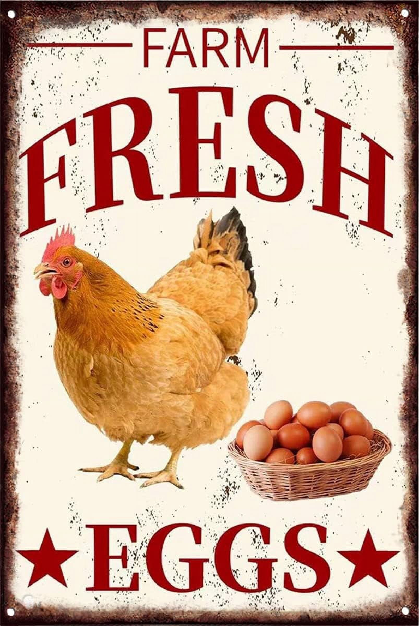 Metal Tin Signs - Farm Fresh Eggs - Chicken Funny Kitchen Farmhouse ...