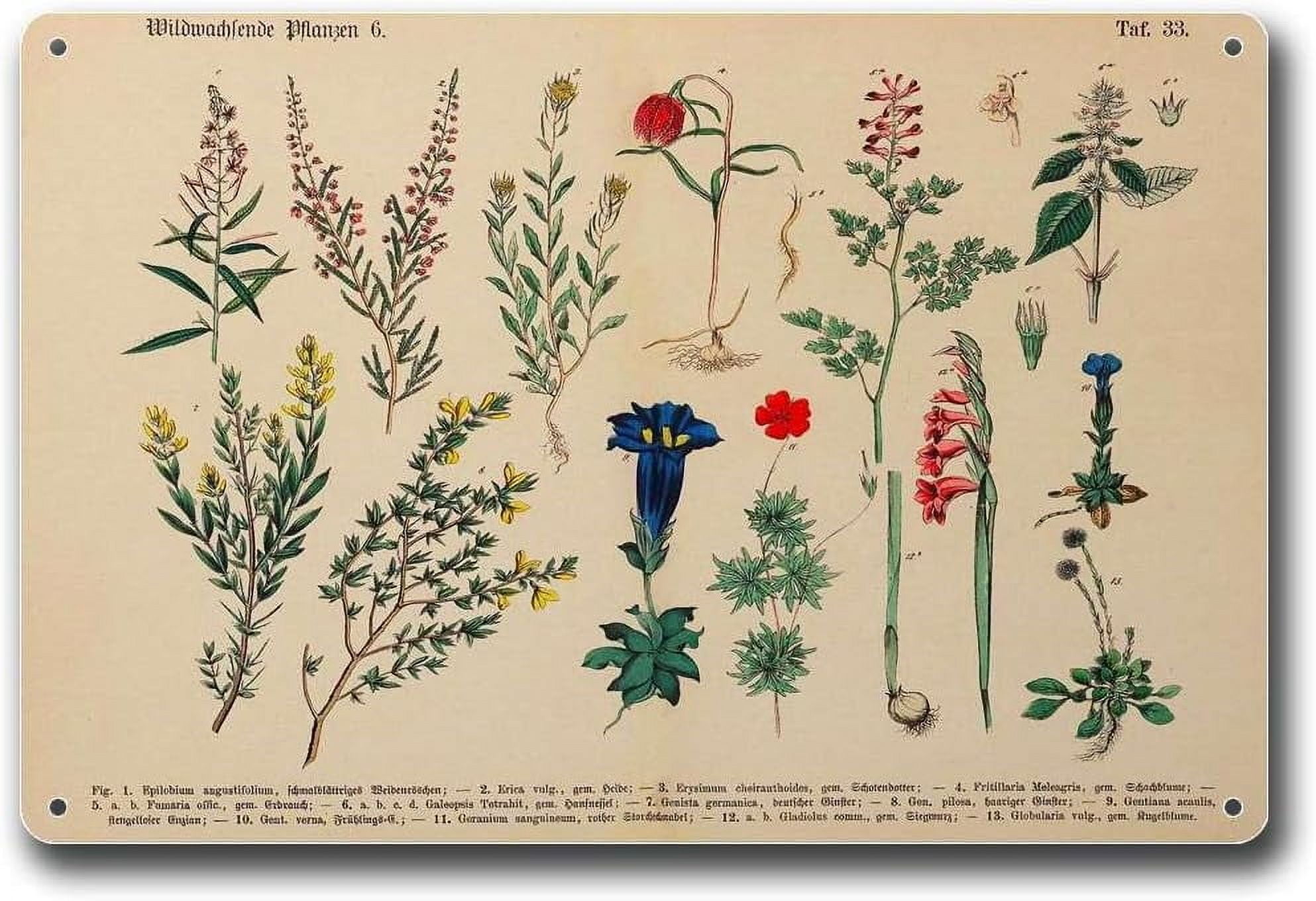 Metal Tin Signs Plant Retro Wild Plant Herb Flower Forest Metal Signs ...