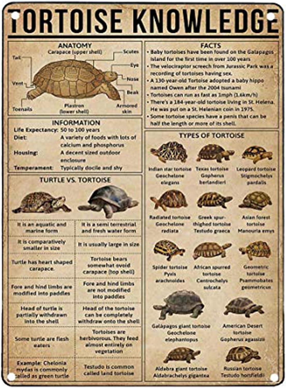 Metal Tin Signs Retro Metal Signs Funny Tortoise Knowledge Basement ...