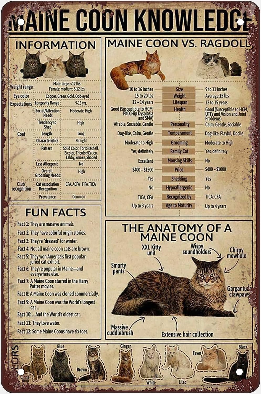 Metal Tin Signs Vintage Funny Maine Coon Infographics Maine Coon ...